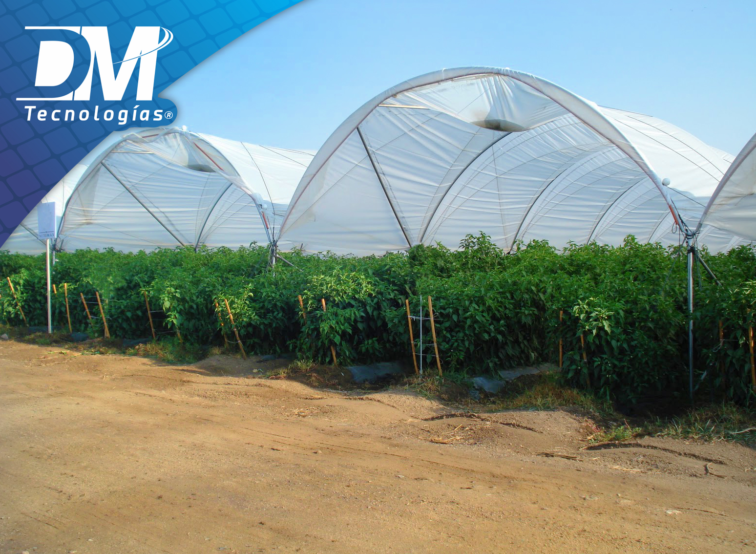 ¡Mantén la temperatura, humedad y cantidad solar en tu invernadero con ...
