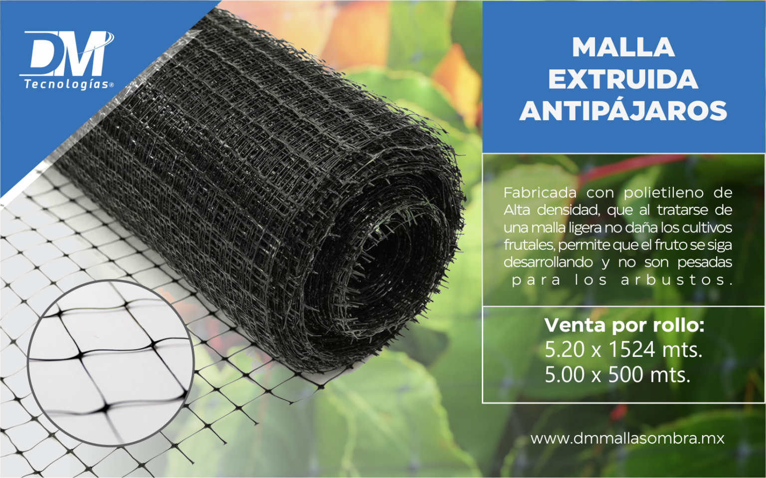 Inicio - DM Tecnologías